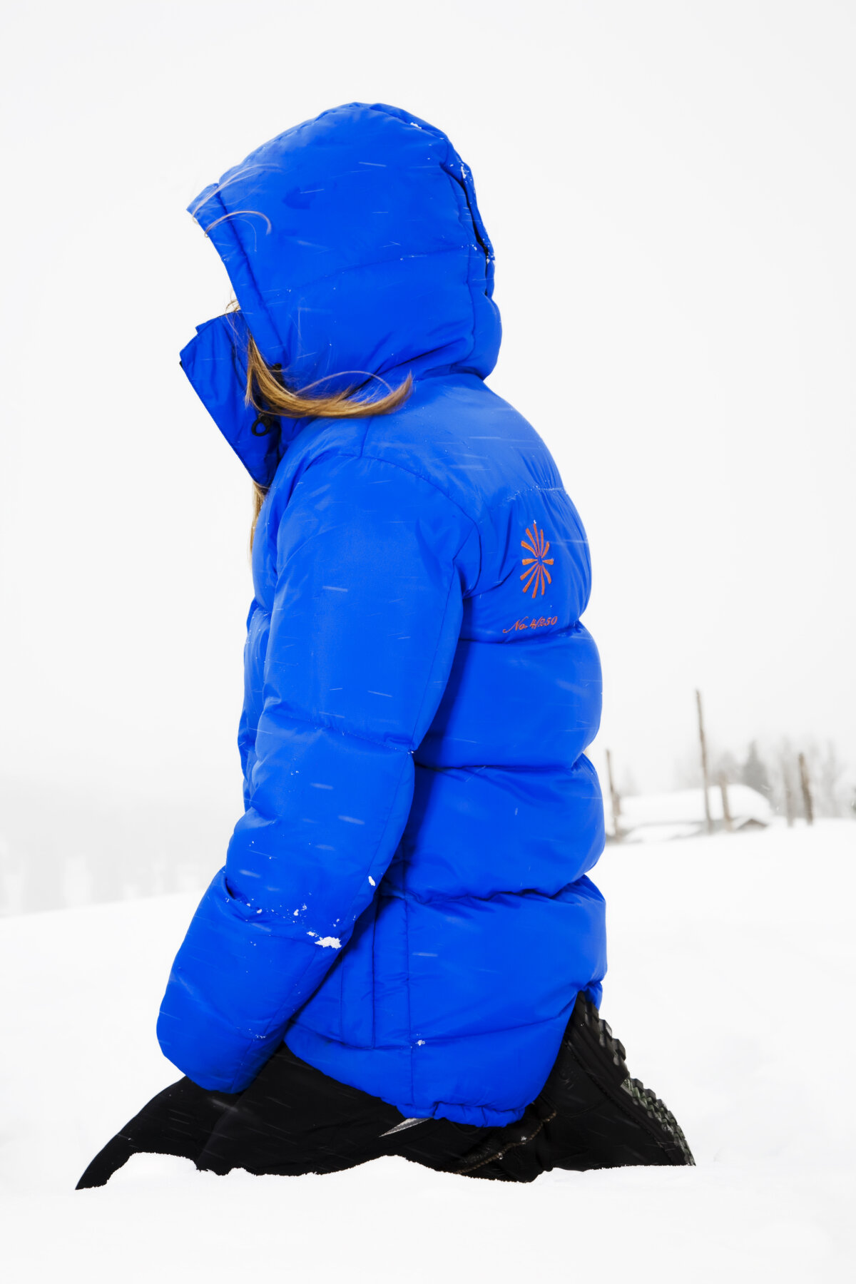 Fleischer Continues - Fleischer Couture